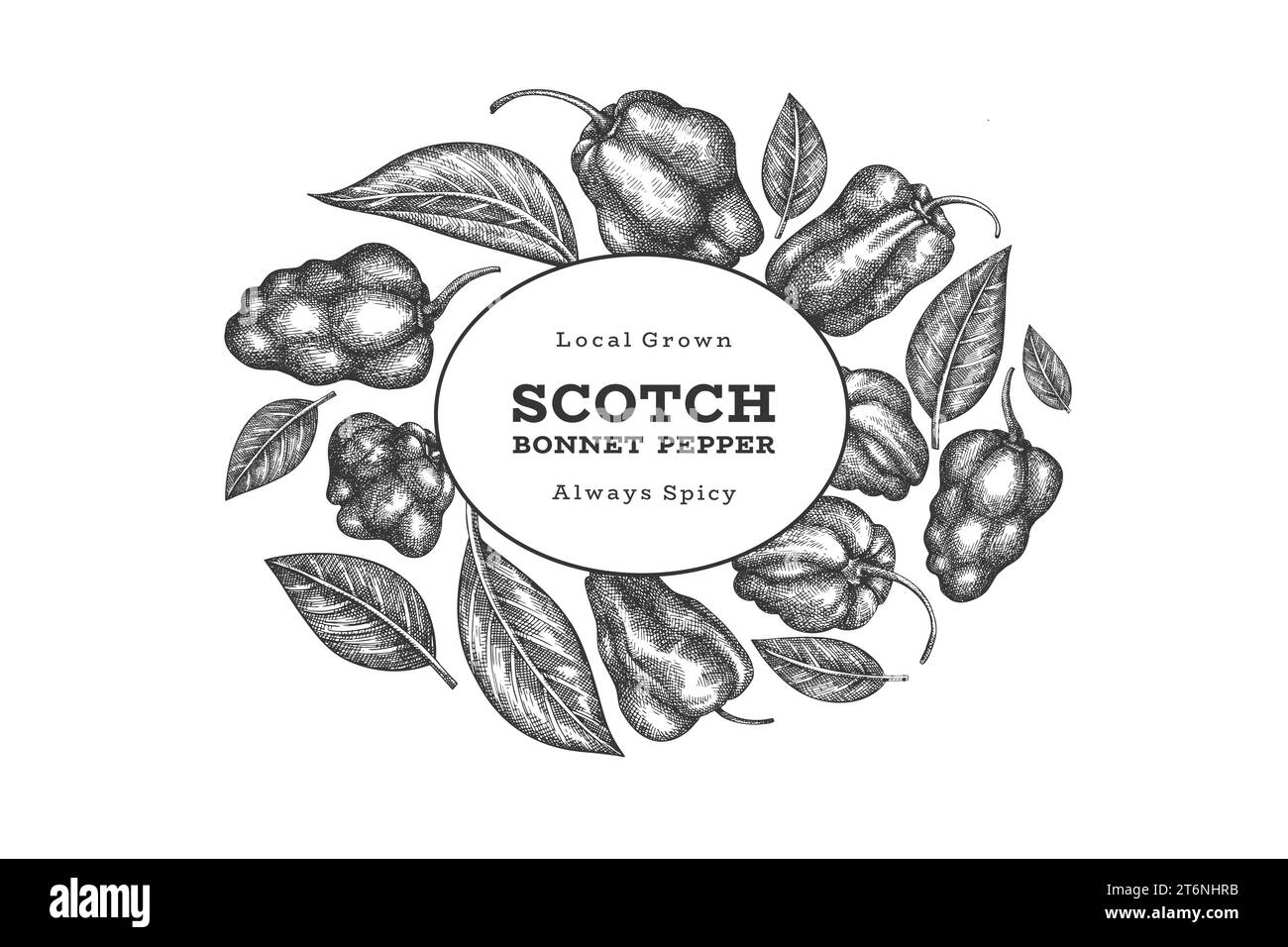 Rocoto vector hi-res stock photography and images - Alamy