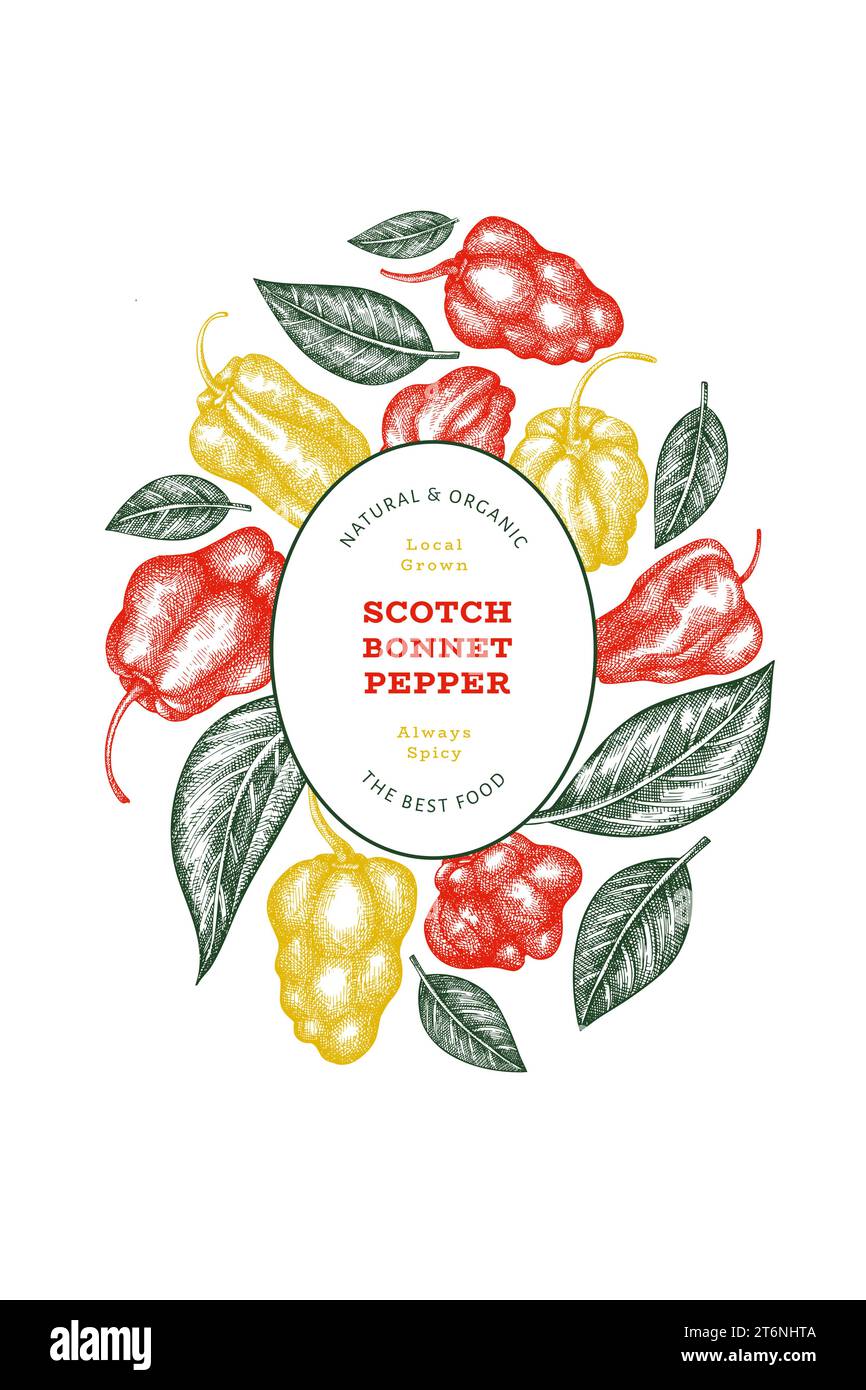 Hand drawn sketch style scotch bonnet pepper banner. Organic fresh ...
