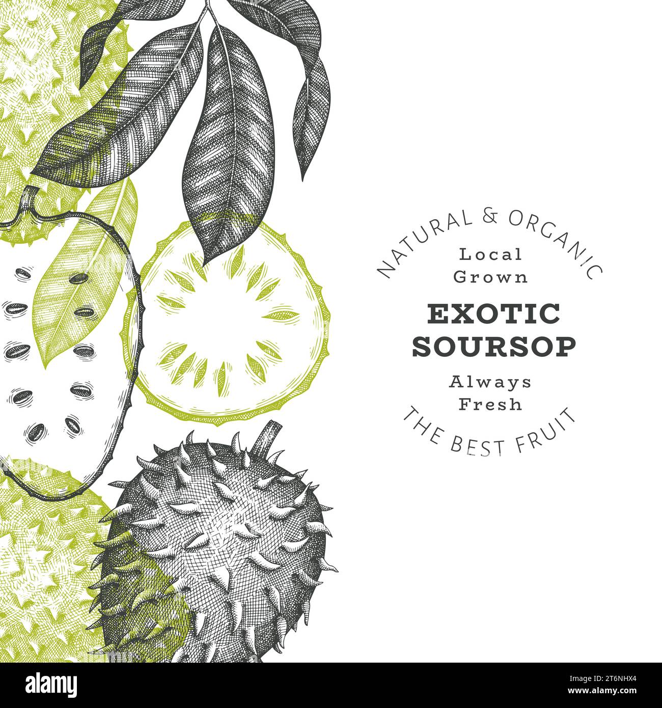Hand drawn sketch style soursop fruit banner. Organic fresh fruit ...
