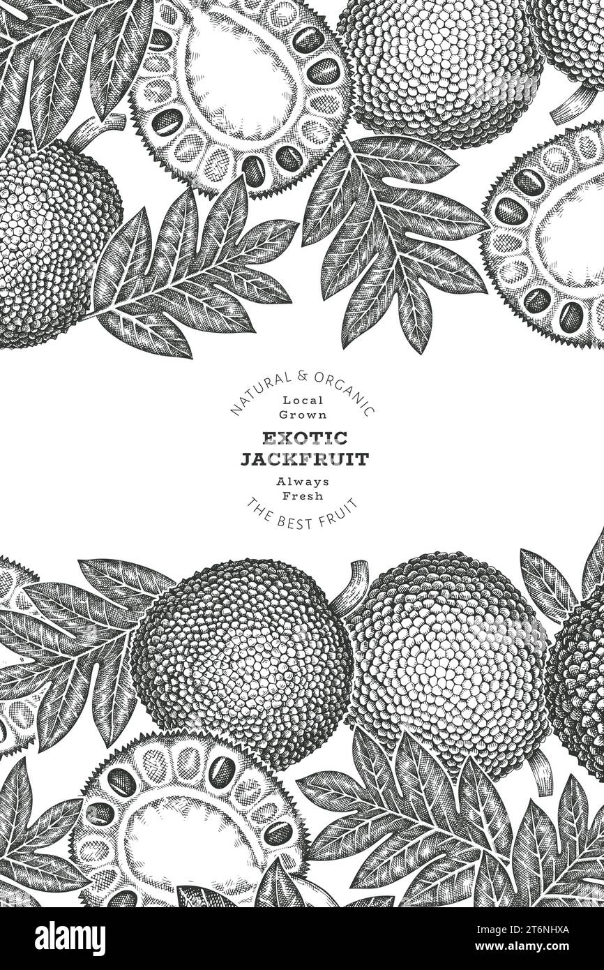 Hand drawn sketch style jackfruit banner. Organic fresh fruit vector ...
