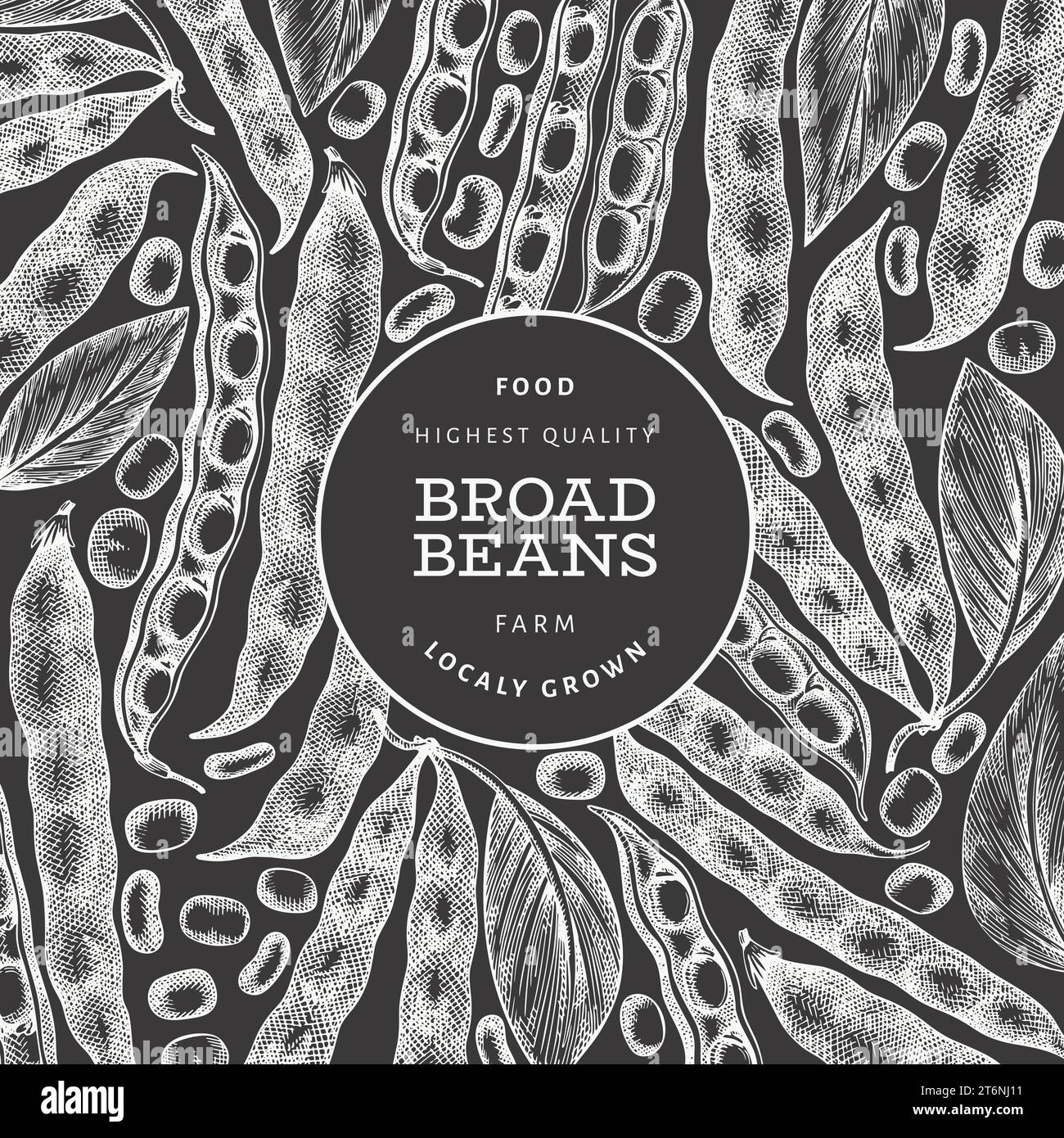 Hand drawn broad beans design template. Organic fresh food vector ...