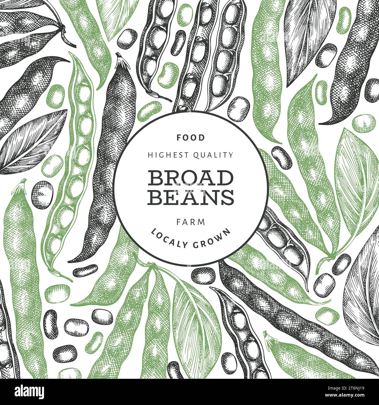 Hand drawn broad beans design template. Organic fresh food vector ...