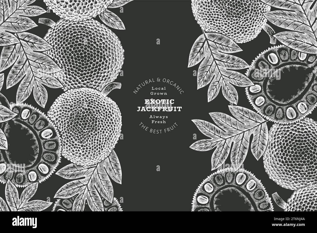 Hand drawn sketch style jackfruit banner. Organic fresh fruit vector ...