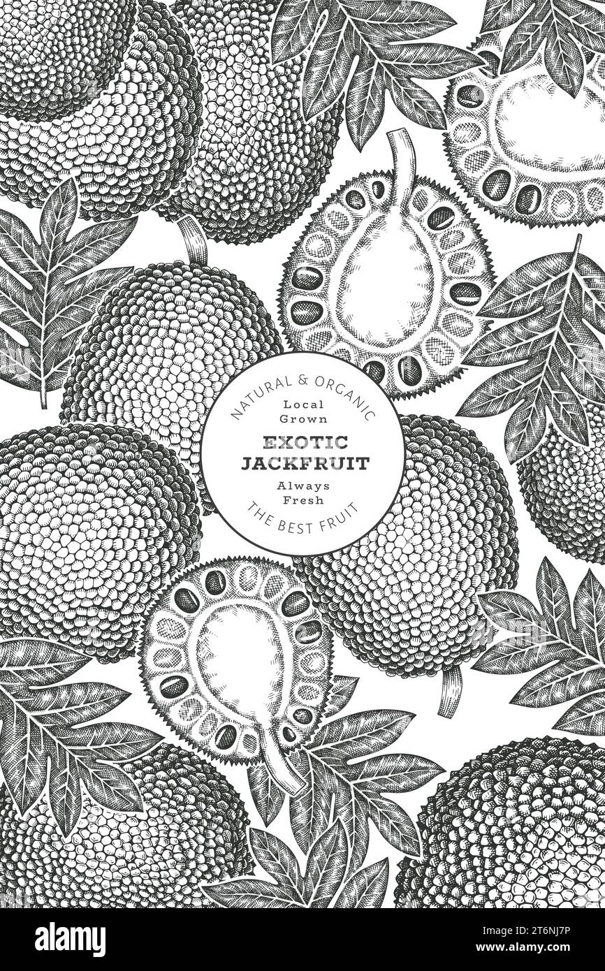 Hand drawn sketch style jackfruit banner. Organic fresh fruit vector ...