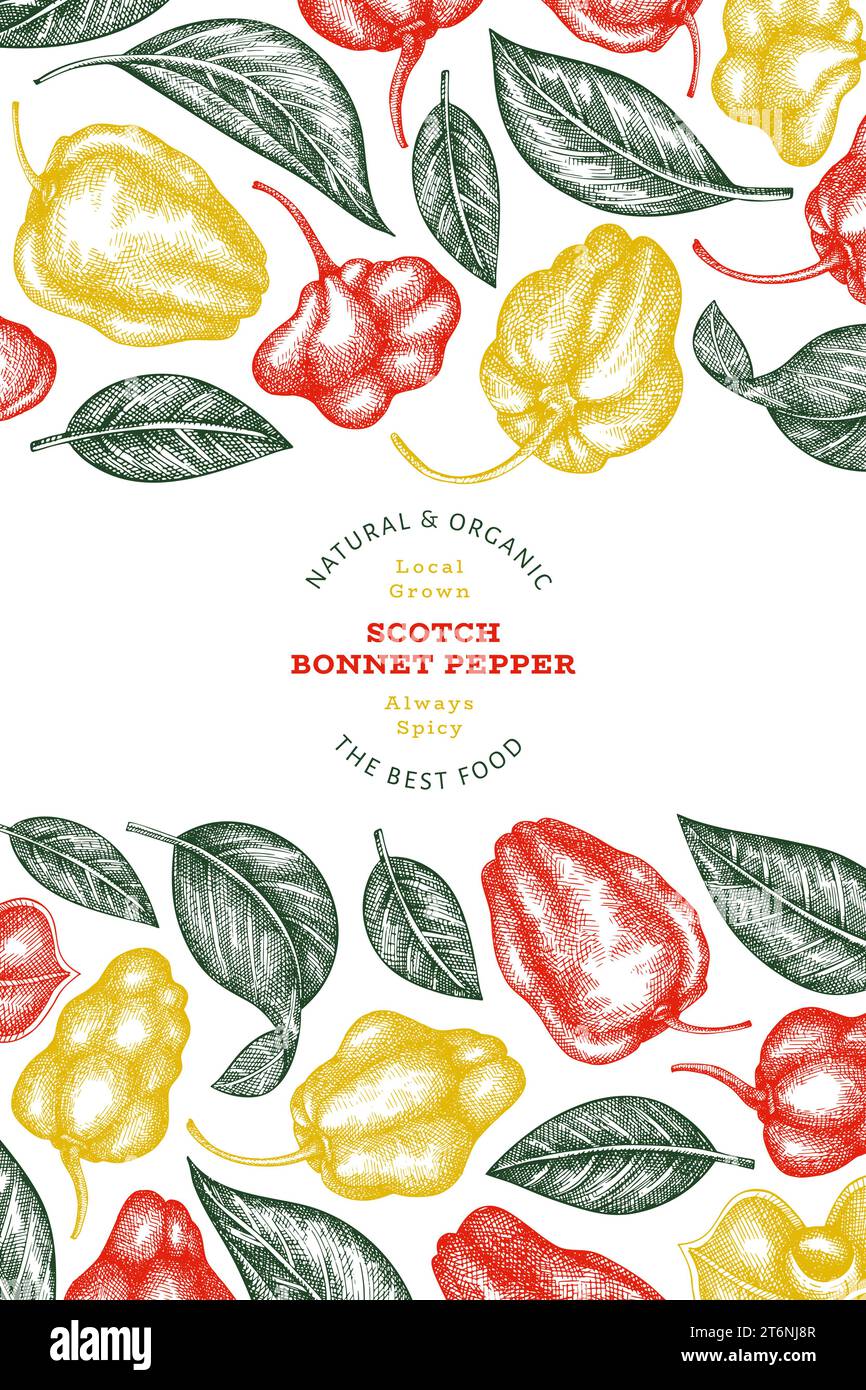 Hand drawn sketch style scotch bonnet pepper banner. Organic fresh ...