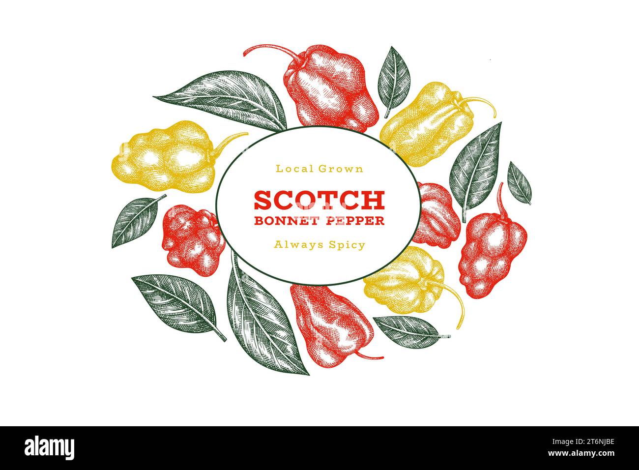 Hand drawn sketch style scotch bonnet pepper banner. Organic fresh ...
