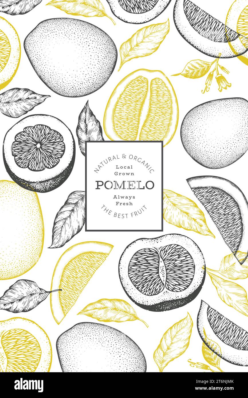 Hand drawn sketch style pomelo banner. Organic fresh fruit vector ...