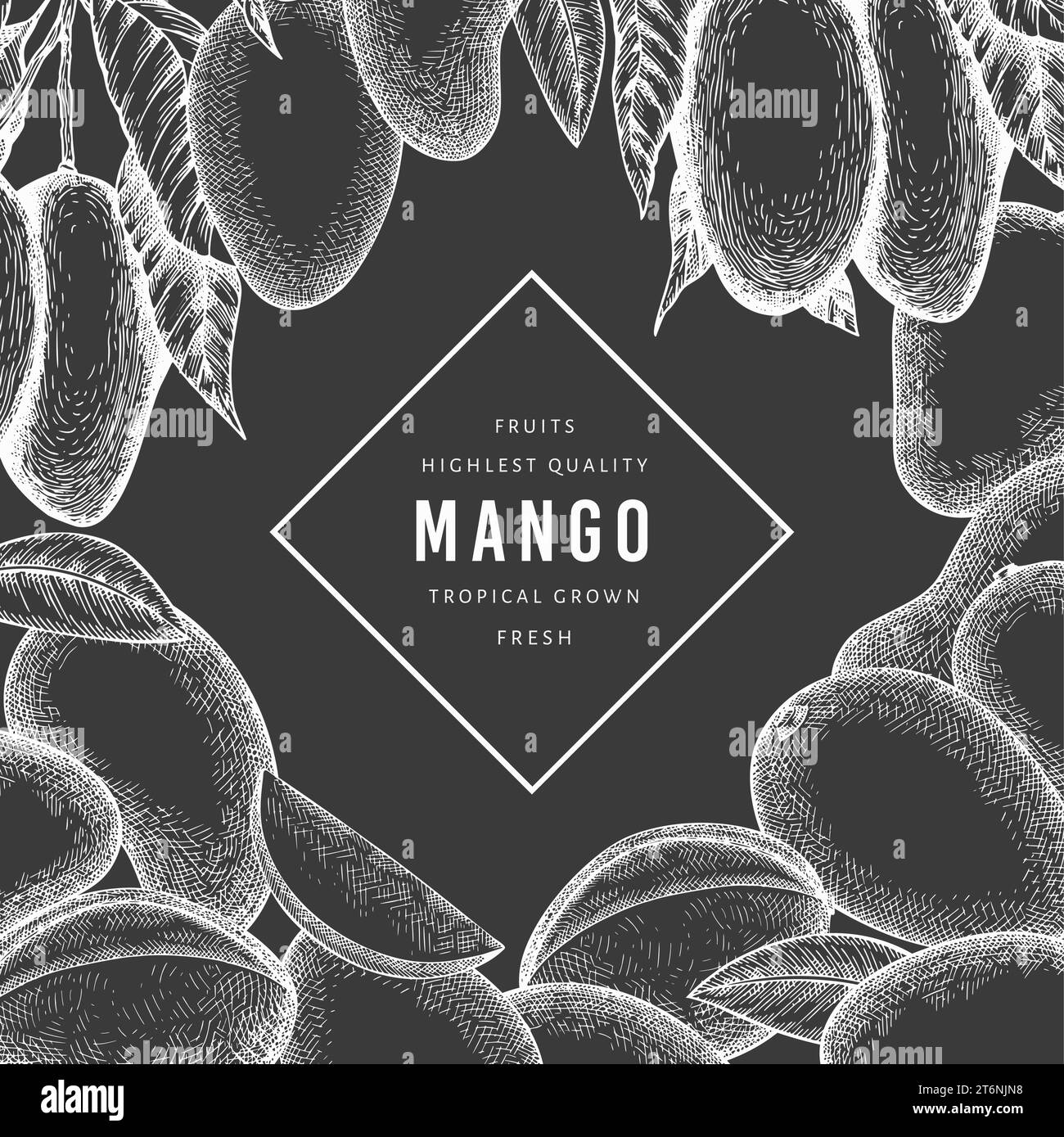 Hand drawn sketch style mango banner. Organic fresh fruit vector ...