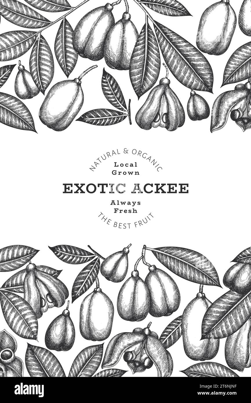 Aki Stock Vector Images - Alamy