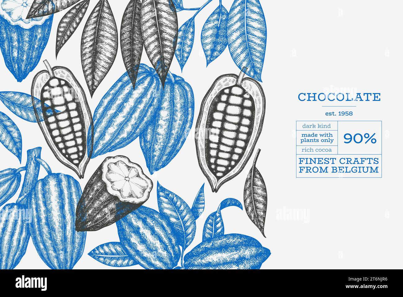 Cocoa Banner Template. Chocolate Retro Cocoa Beans Background. Vector ...