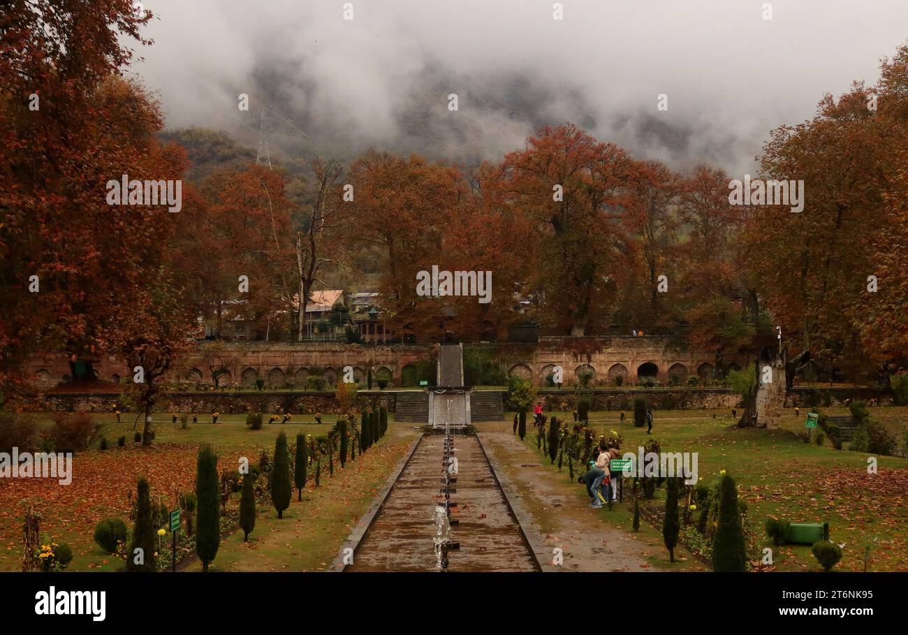 November 10,2023, Srinagar Kashmir, India : A view of the Mughal Garden ...