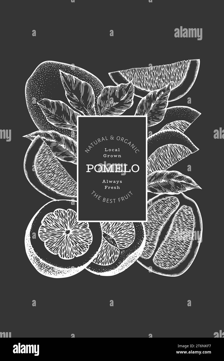 Pomelo vector vectors Black and White Stock Photos & Images - Alamy