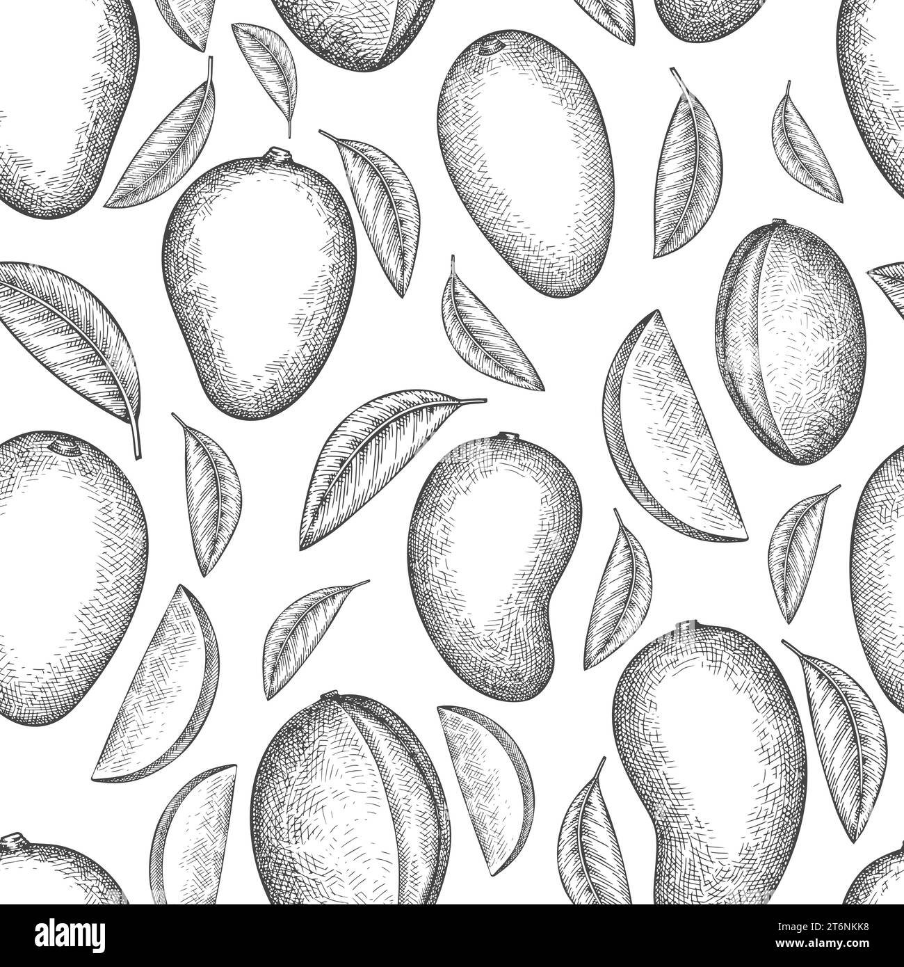 Hand drawn sketch style mango seamless pattern. Organic fresh fruit ...