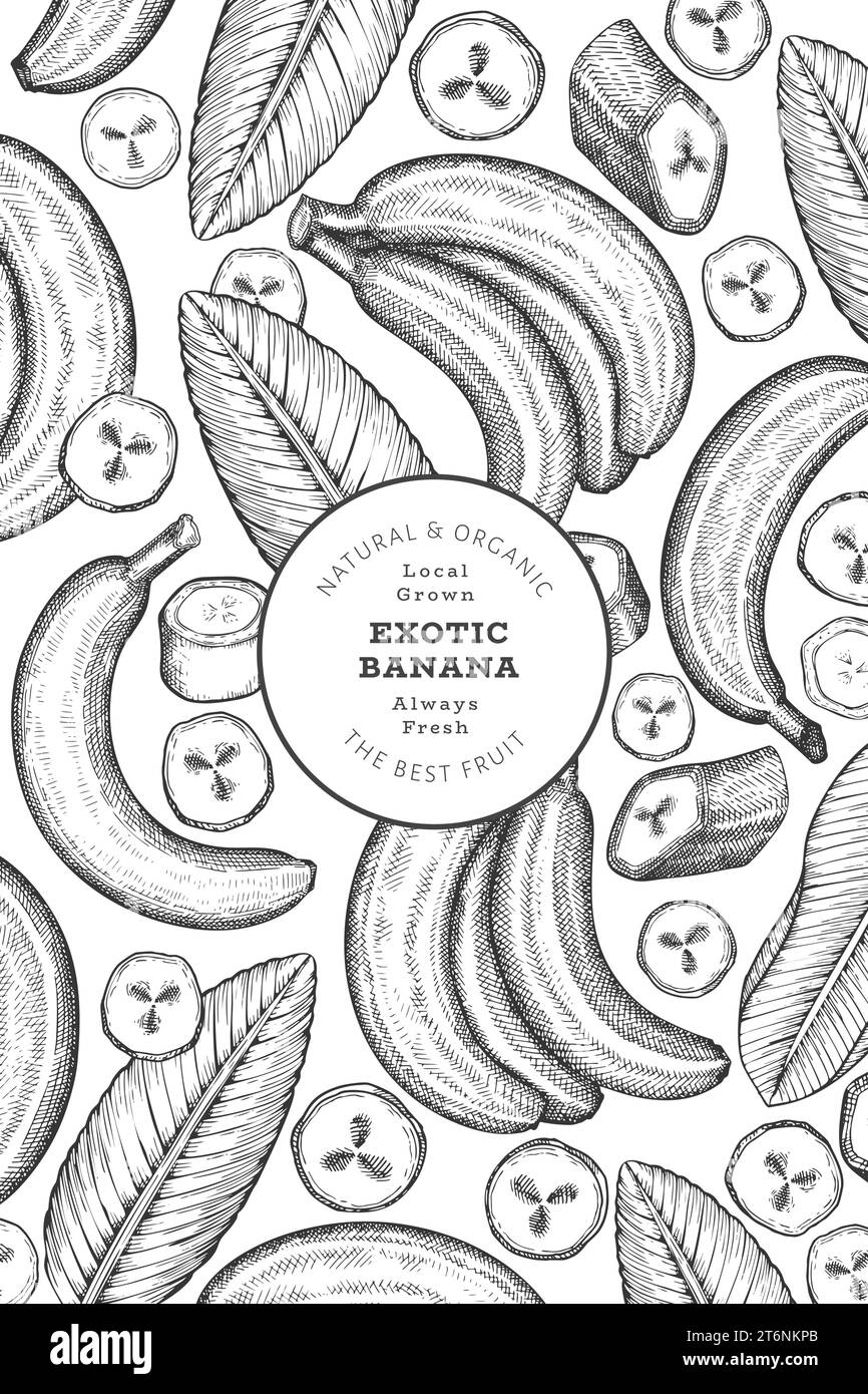 Hand drawn sketch style banana banner. Organic fresh fruit vector ...