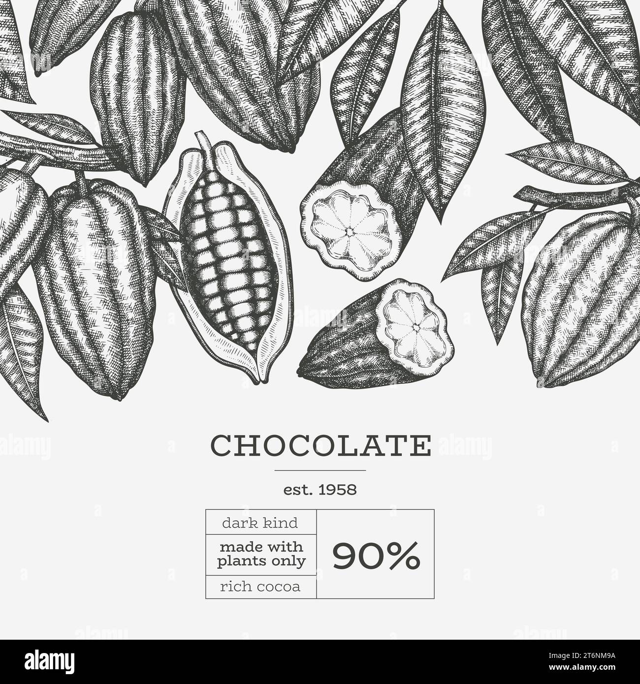 Cocoa Banner Template. Chocolate Retro Cocoa Beans Background. Vector ...