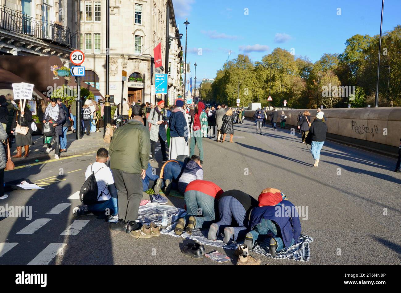 scenes from the mass anti war pro peace demonstration in central london ...