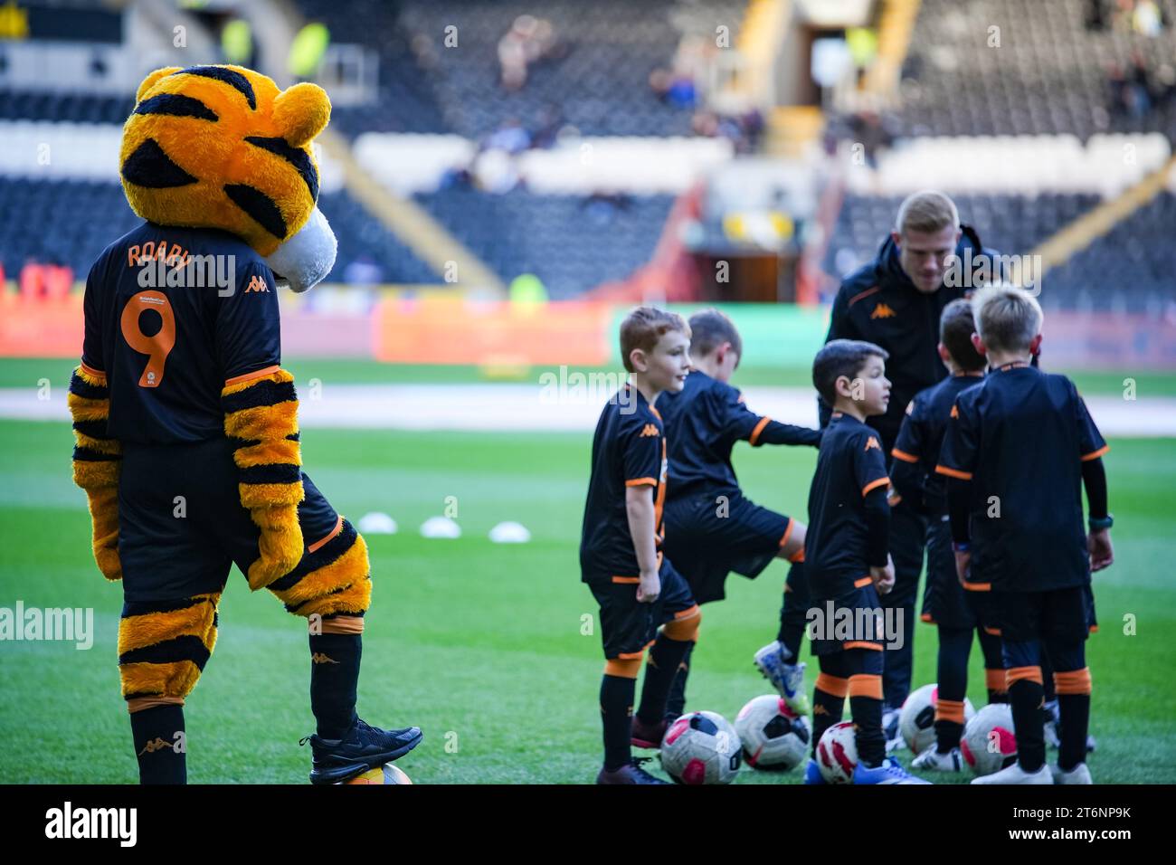 Rory tiger hi-res stock photography and images - Alamy