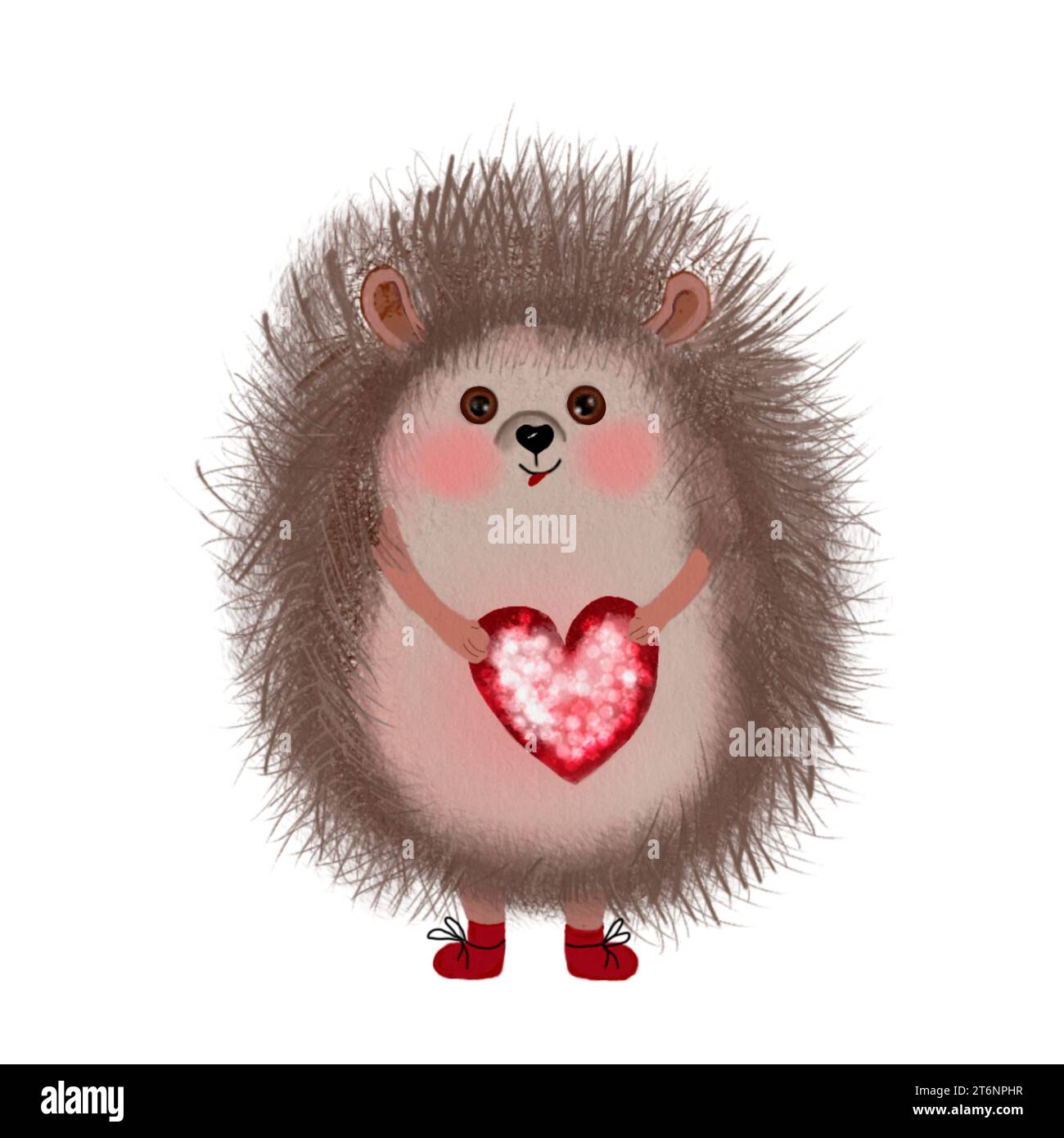 Watercolor cute drawing of a hedgehog with a heart on a white ...
