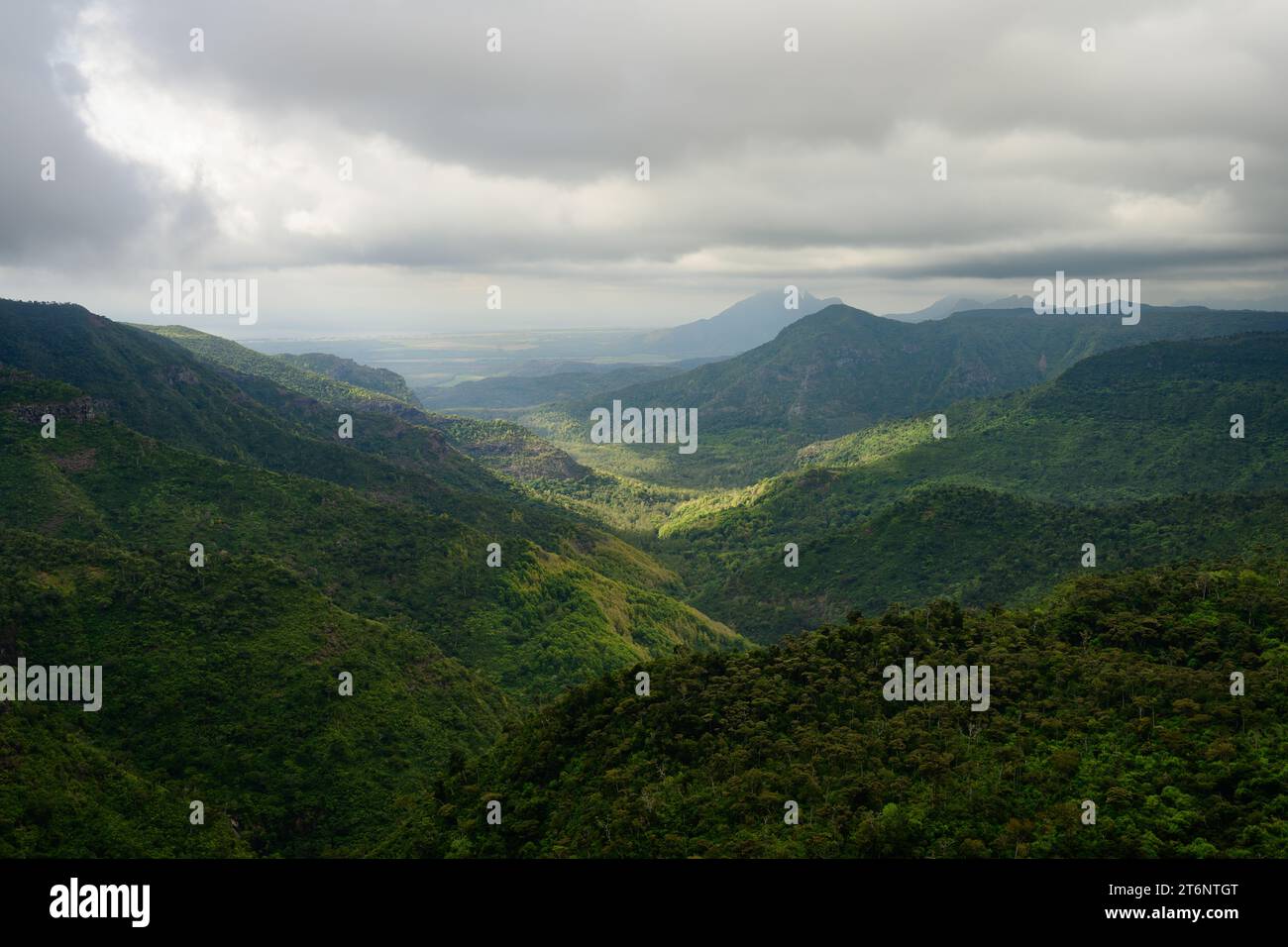 Rainforest canyon hi-res stock photography and images - Alamy