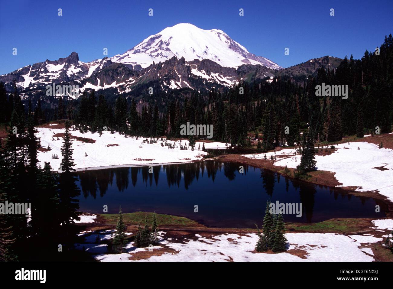 Mt Rainier from Tipsoo Lake, Mt Rainier National Park, Washington Stock ...