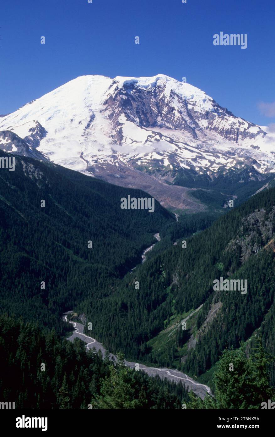 Mt Rainier up Carbon River, Mt Rainier National Park, Washington Stock ...