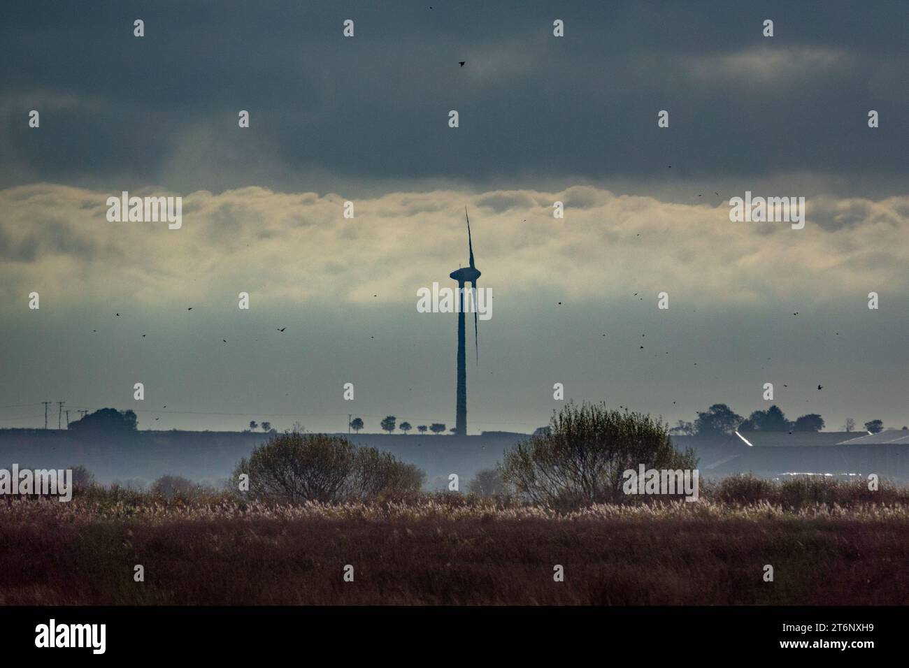 onshore wind farm, wind turbine, East Somerton, Norfolk Stock Photo - Alamy