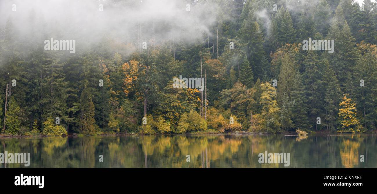 Fall Foliage Peaks Out Through the Evergreen Trees at Battle Ground ...