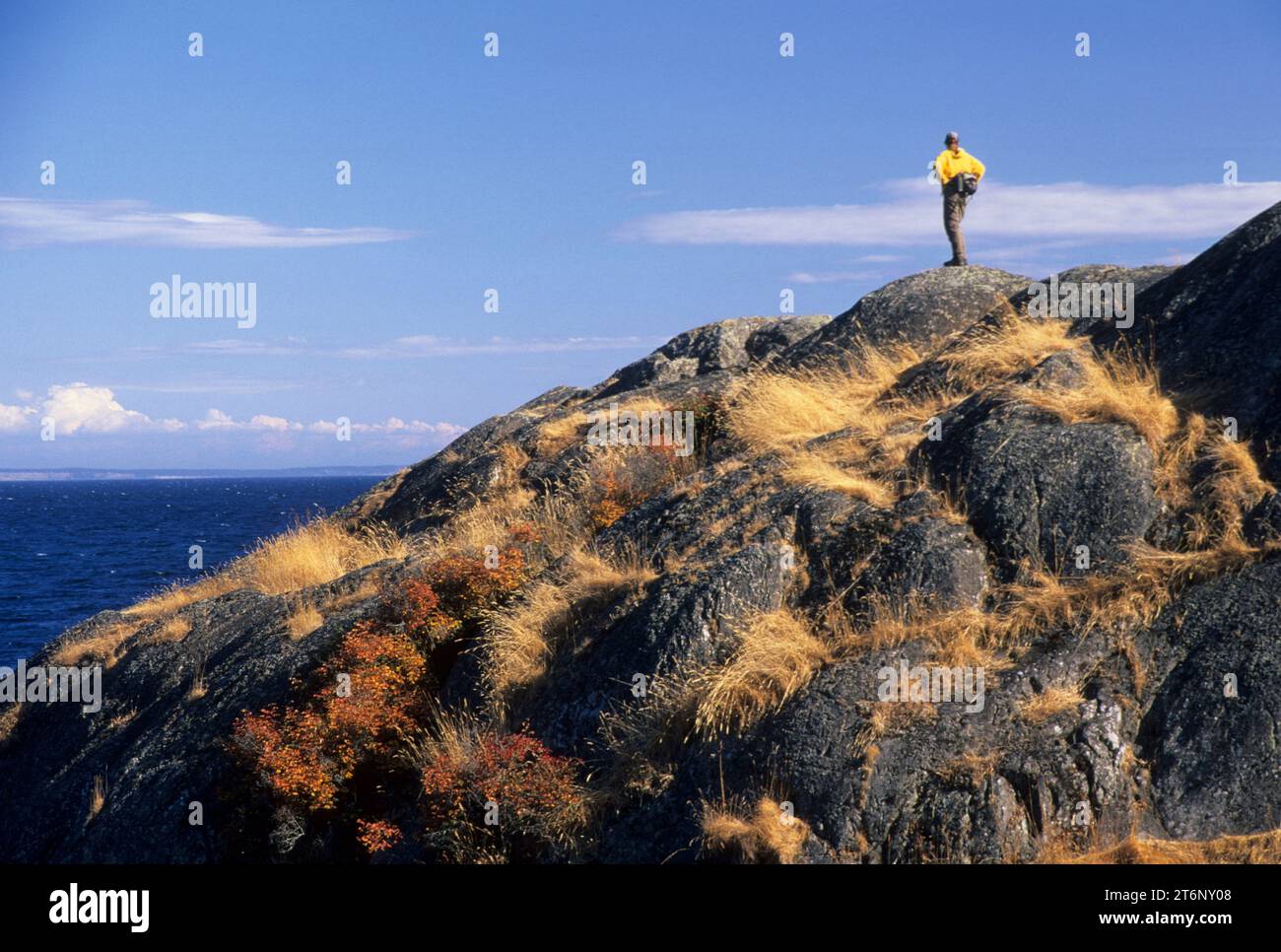 Cattle point san juan island hi-res stock photography and images - Alamy