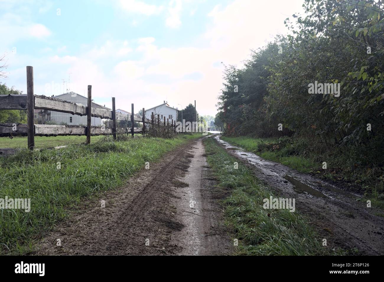 Path next to a wooden fence and a hedge after a rainfall in the italian ...