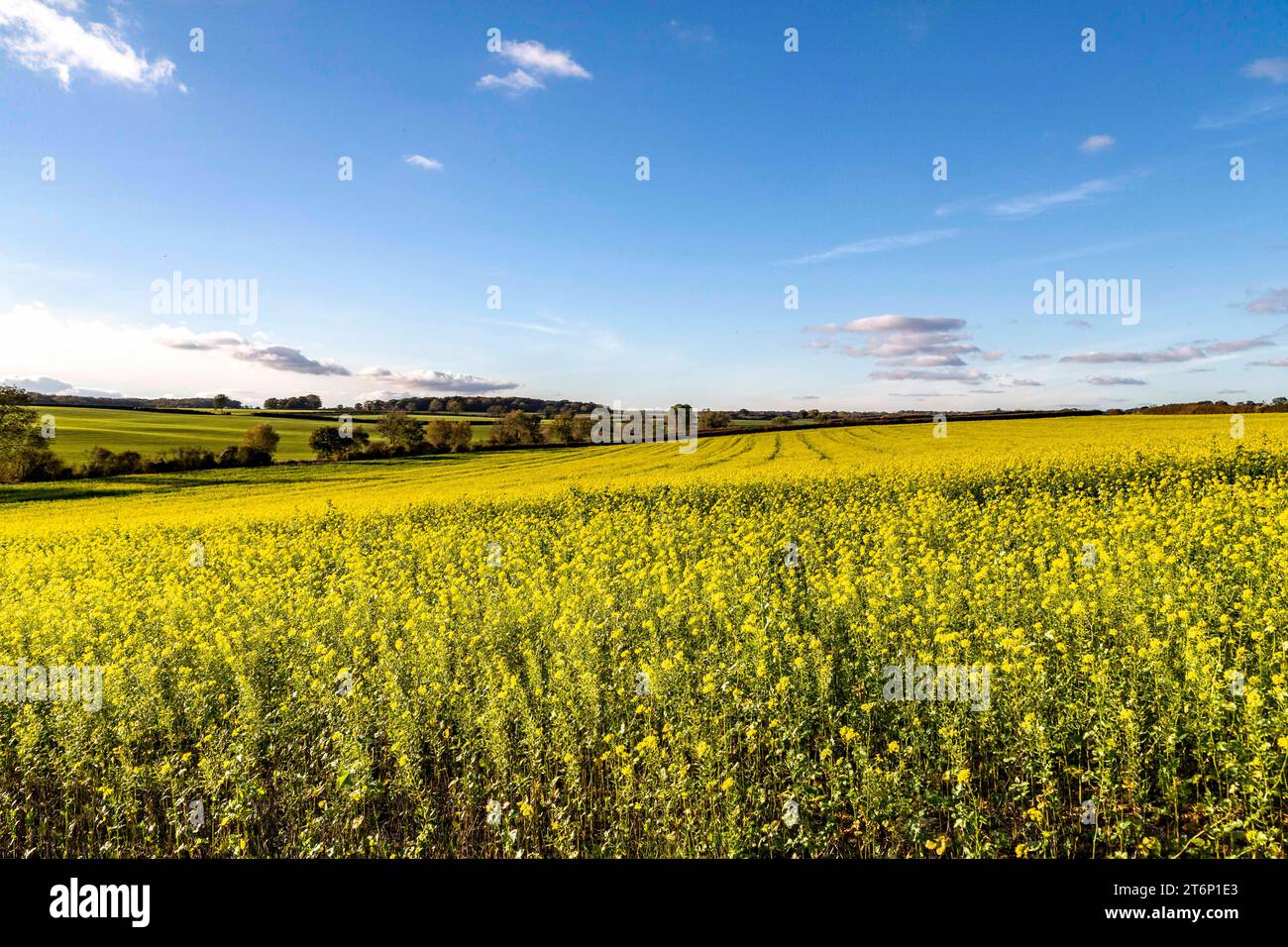 Stoke goldington rd hi-res stock photography and images - Alamy