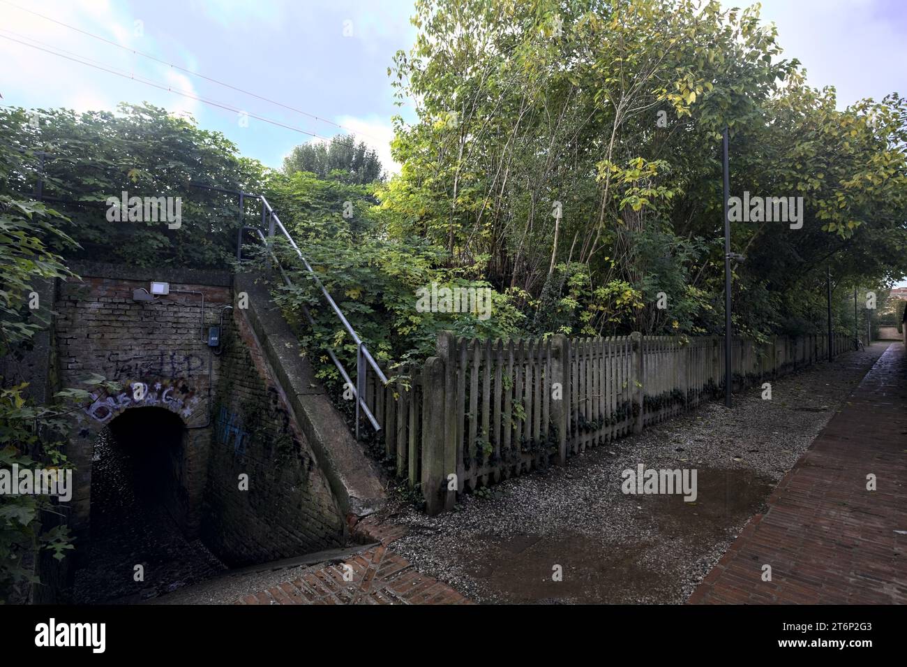Staircase to a passageway under a railroad bordered by plants in an ...