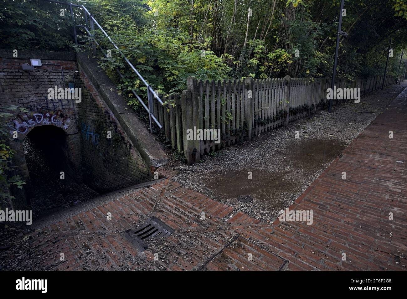 Staircase to a passageway under a railroad bordered by plants in an ...