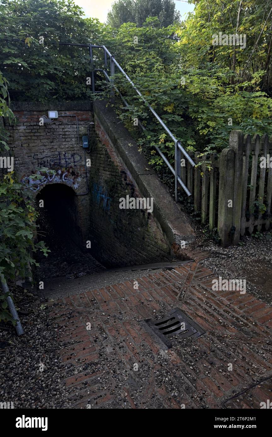 Staircase to a passageway under a railroad bordered by plants in an ...