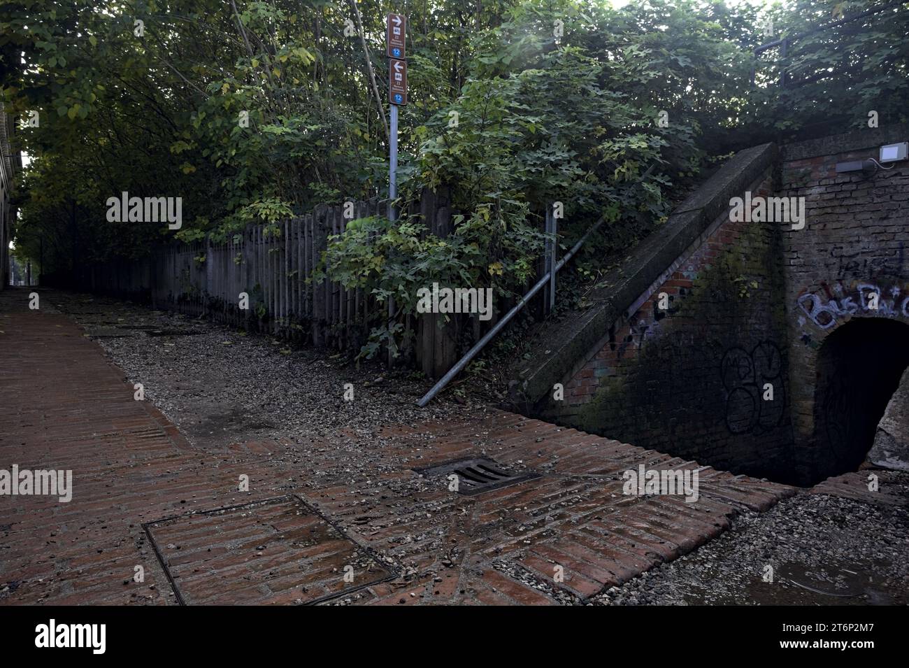 Staircase to a passageway under a railroad bordered by plants in an ...