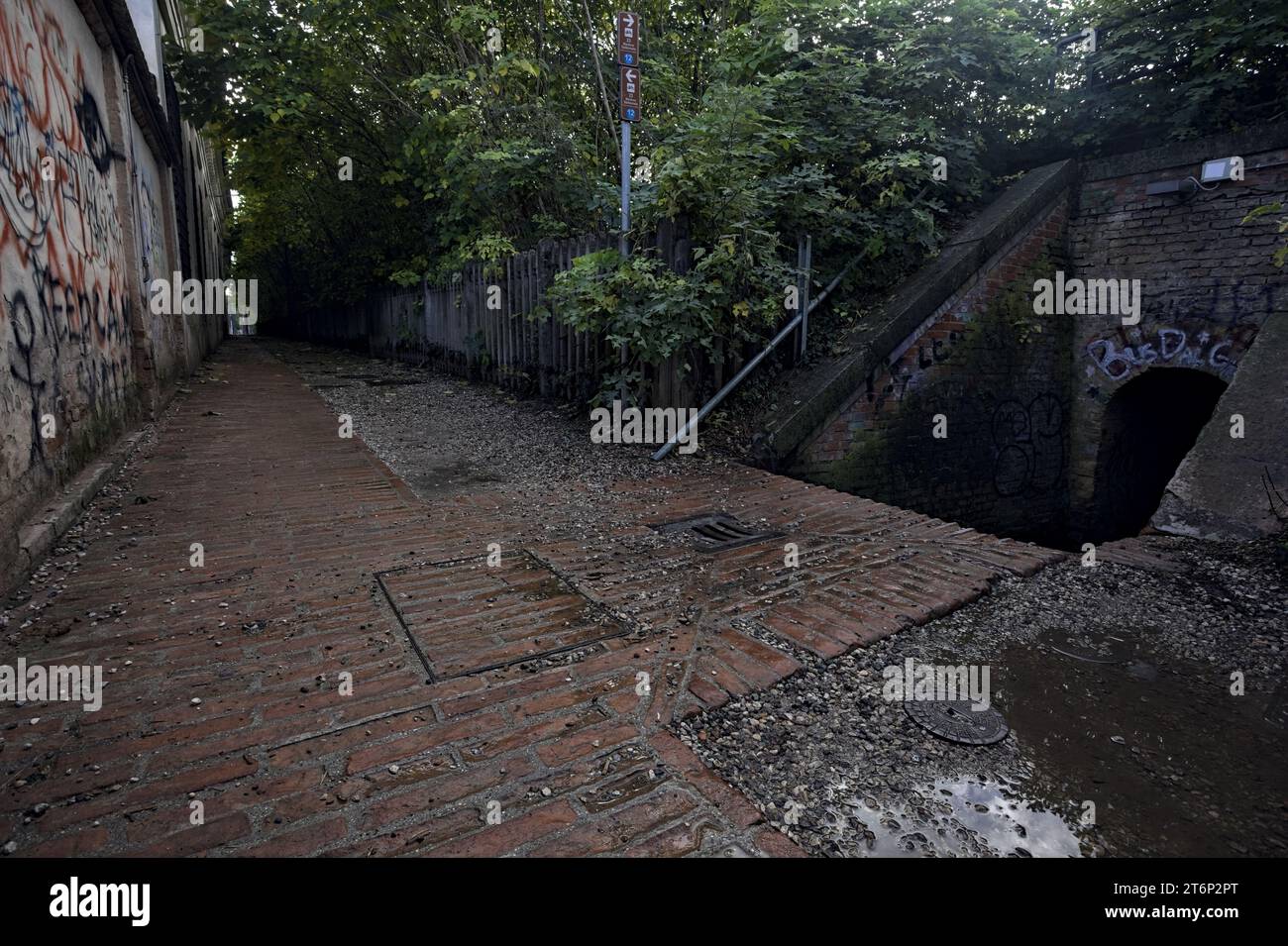 Staircase to a passageway under a railroad bordered by plants in an ...