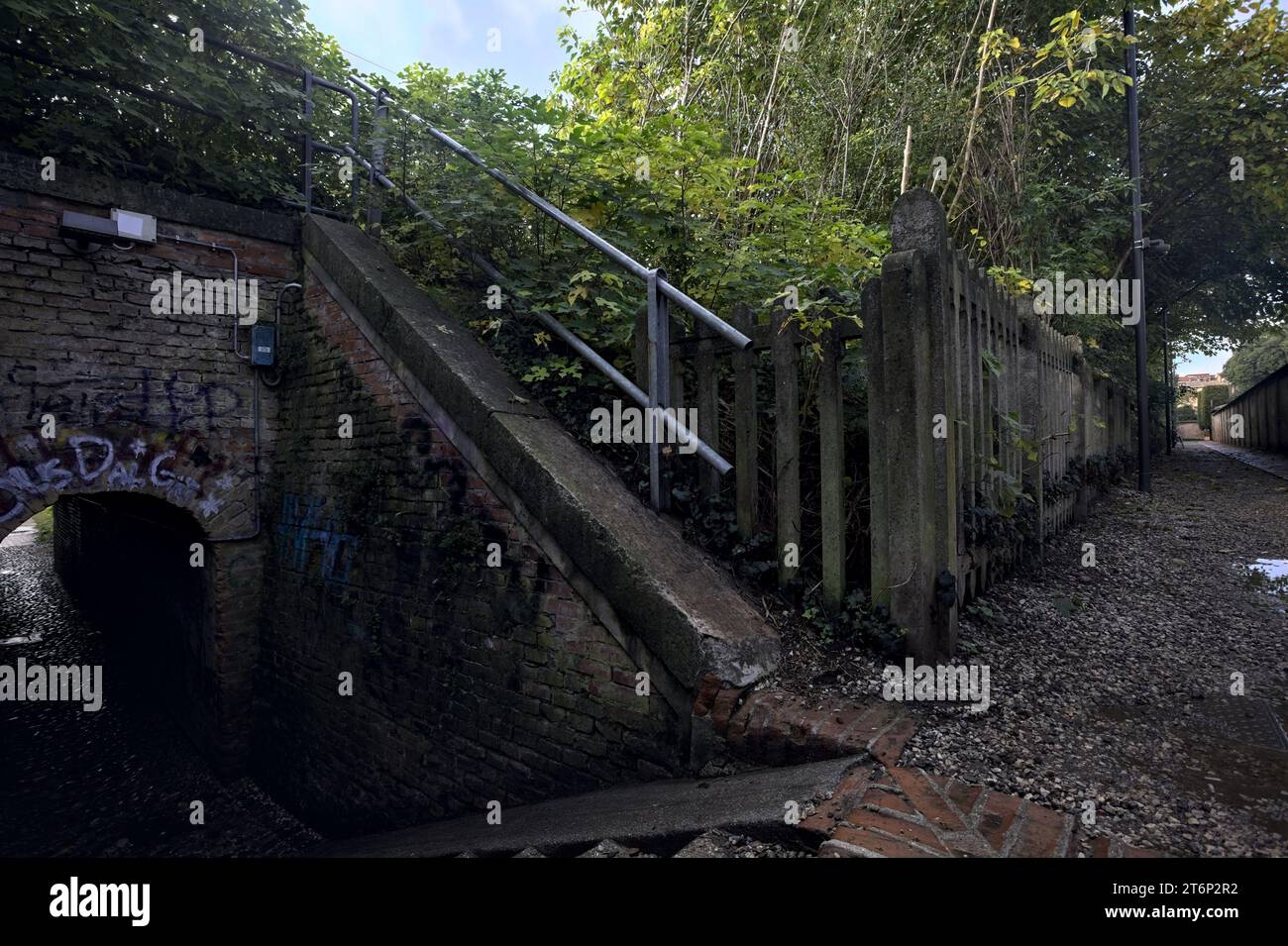 Staircase to a passageway under a railroad bordered by plants in an ...