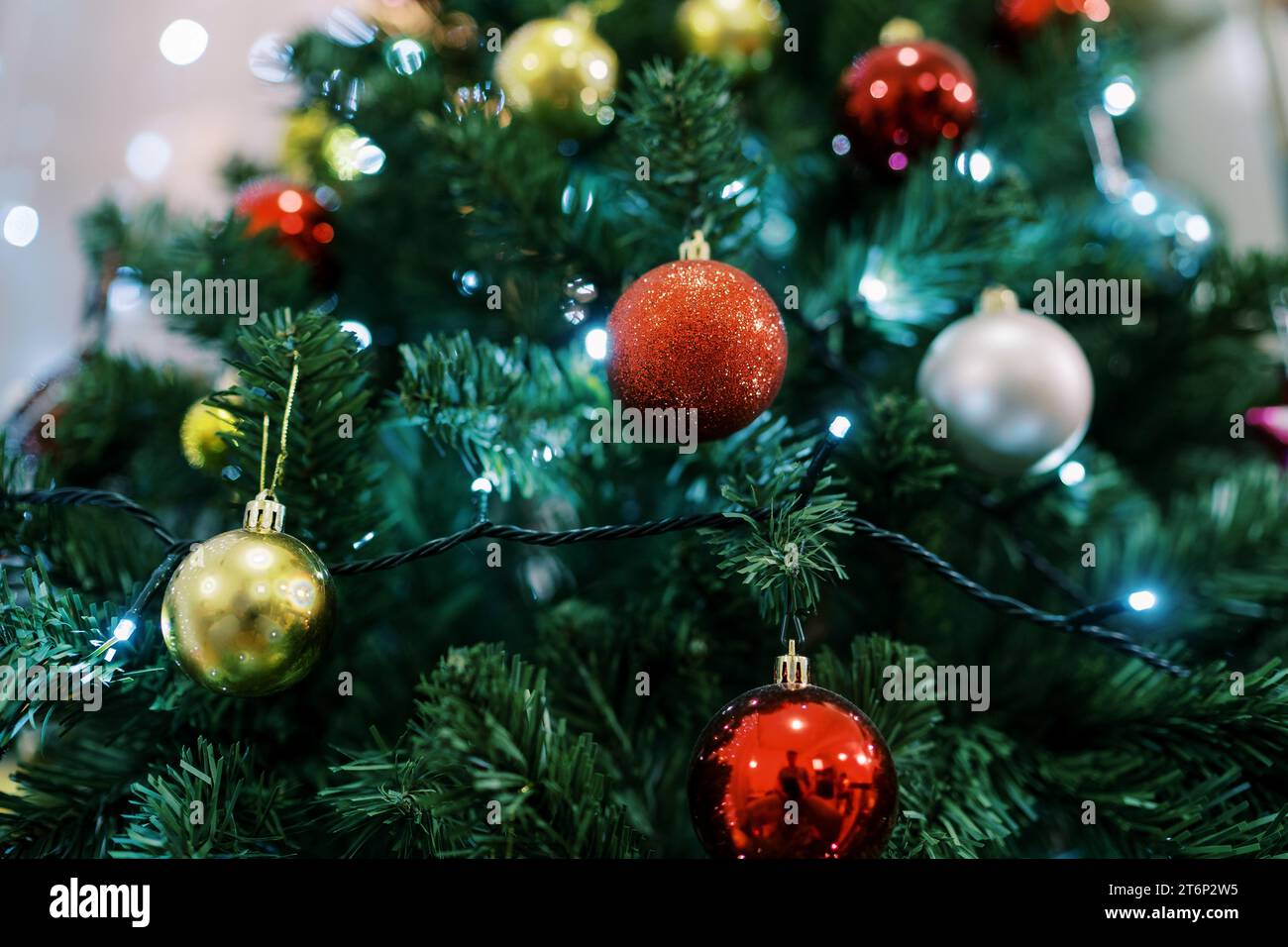 Golden, red and silver shiny balls hang on the branches of the ...