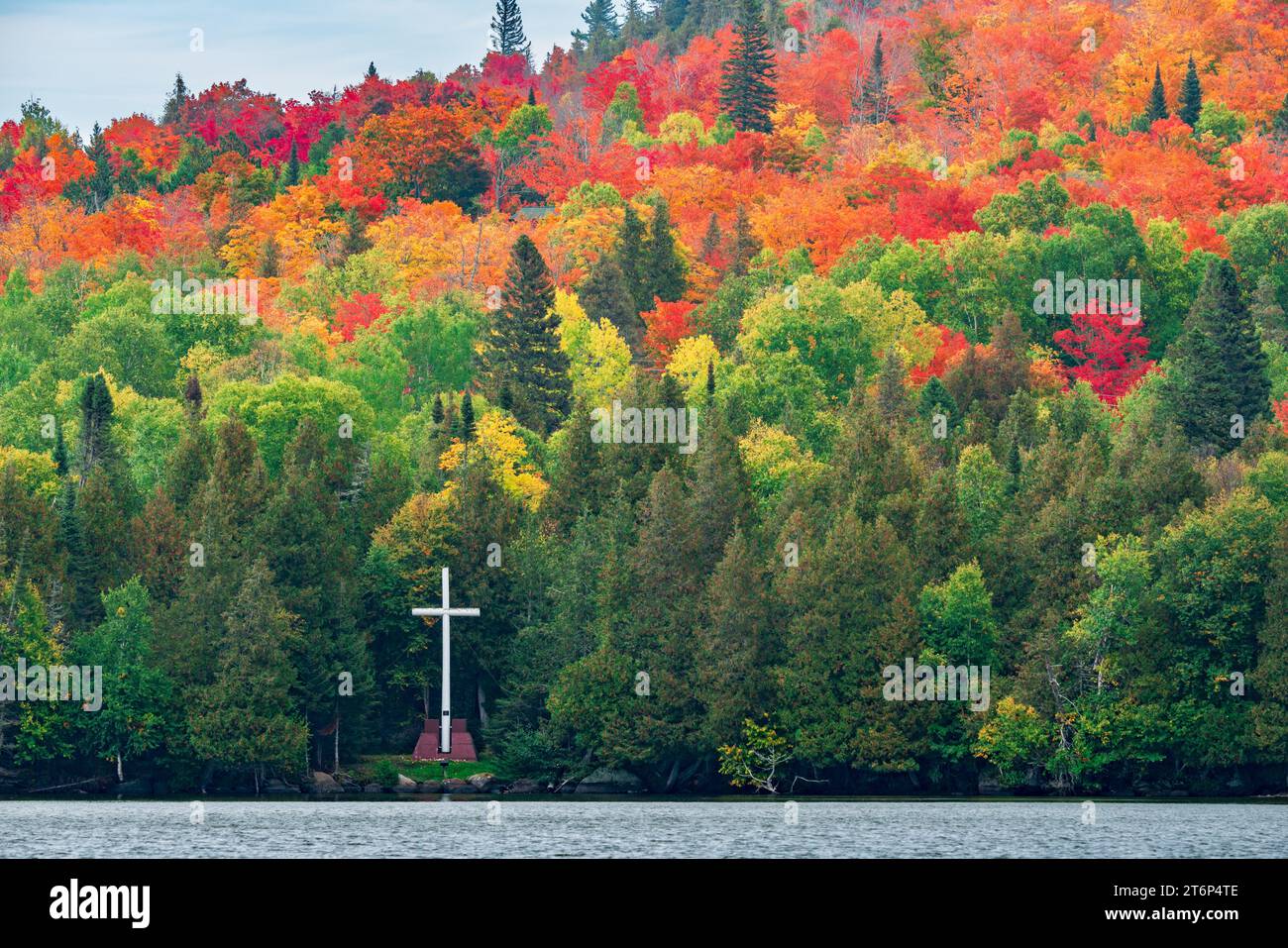 Fall foliage color in the forests above the north shore of Lake ...