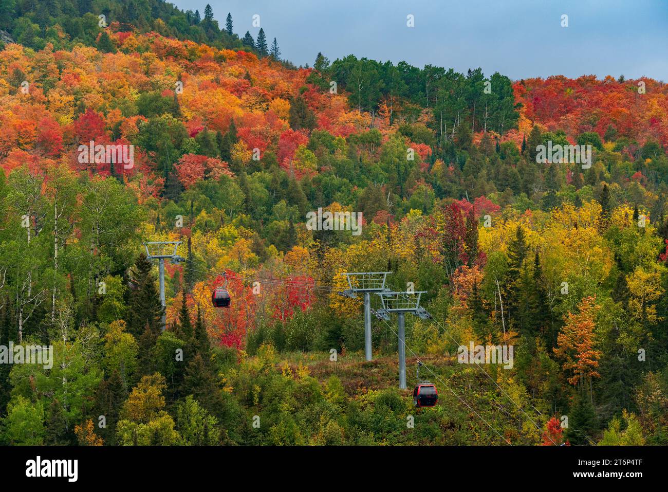 The gondola lift up Moose Mountain with fall foliage color at the ...