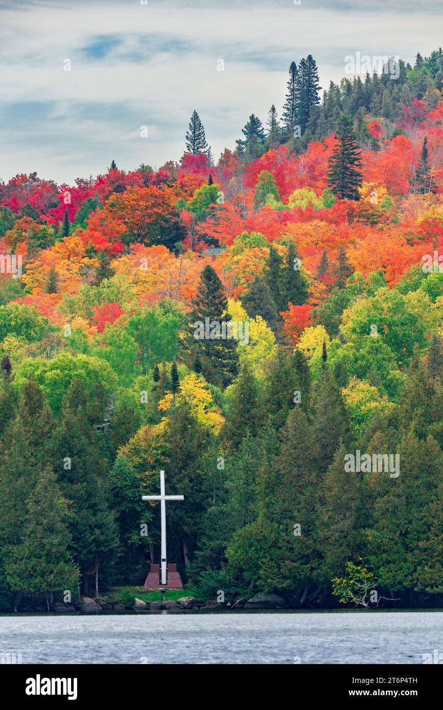 Fall foliage color in the forests above the north shore of Lake ...
