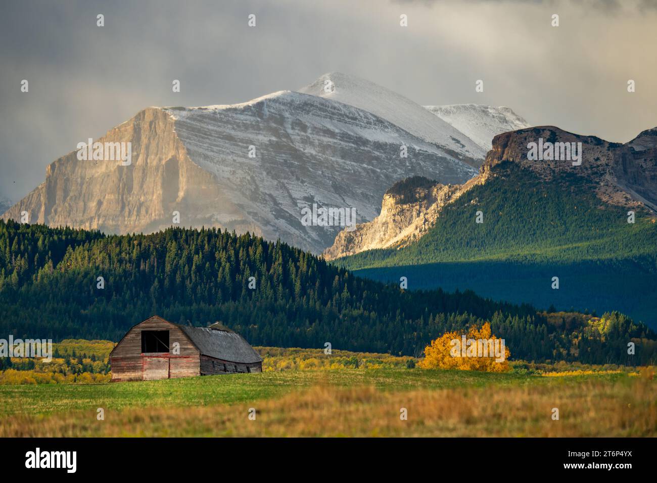 A farm barn and fall foliage color near Mountain View, Alberta, Canada ...