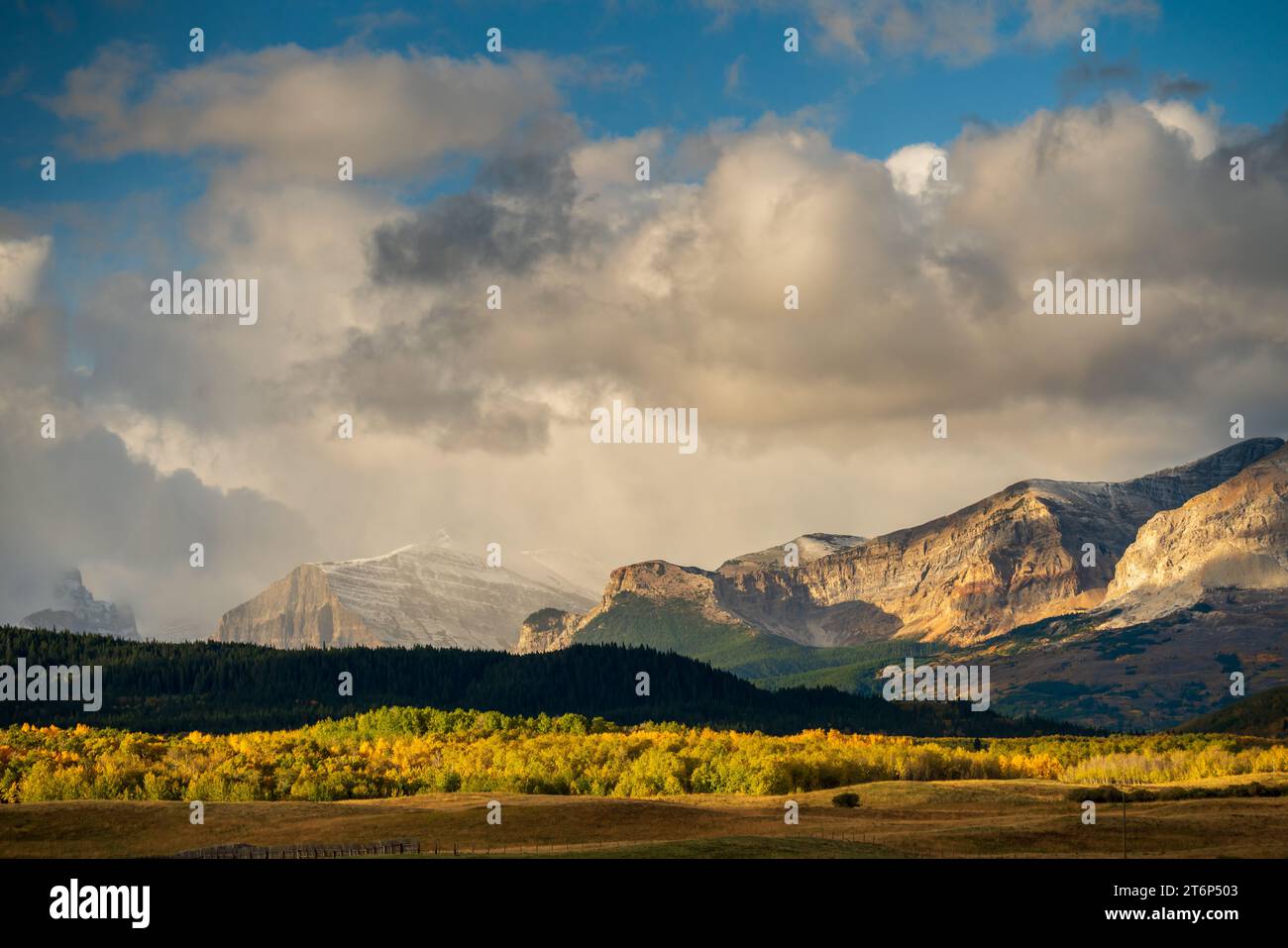 Fall foliage color in the foothills of Waterton Lakes National Park ...