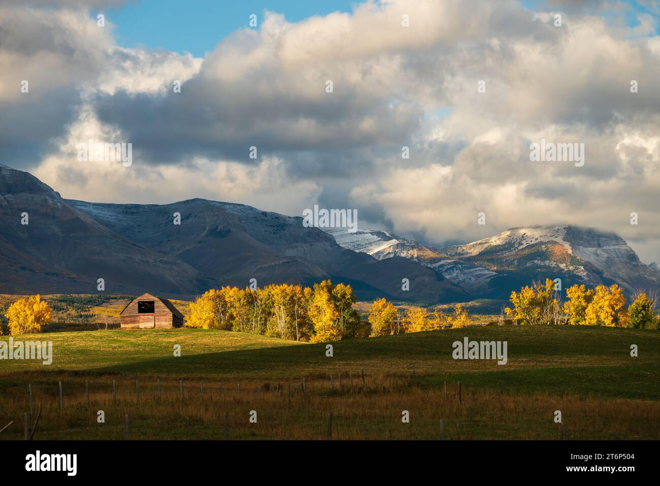 A farm barn and fall foliage color near Mountain View, Alberta, Canada ...