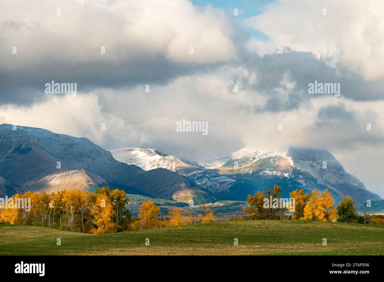 Fall foliage color in the foothills of Waterton Lakes National Park ...