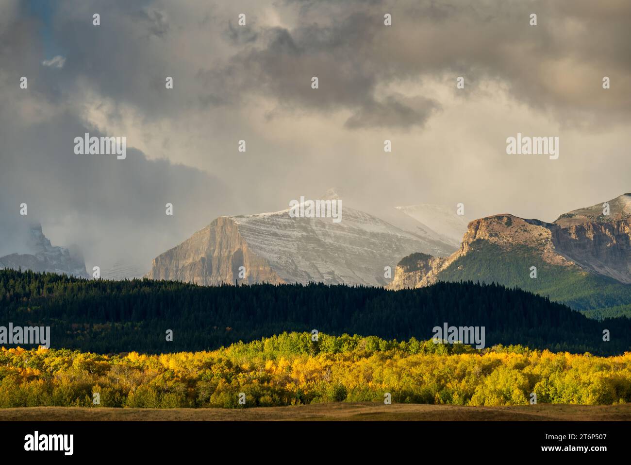 Fall foliage color in the foothills of Waterton Lakes National Park ...