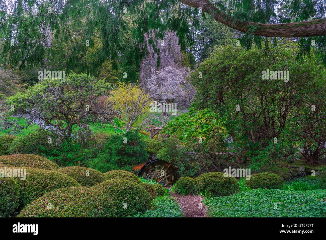 The botanical gardens in spring at the Royal Roads University in ...