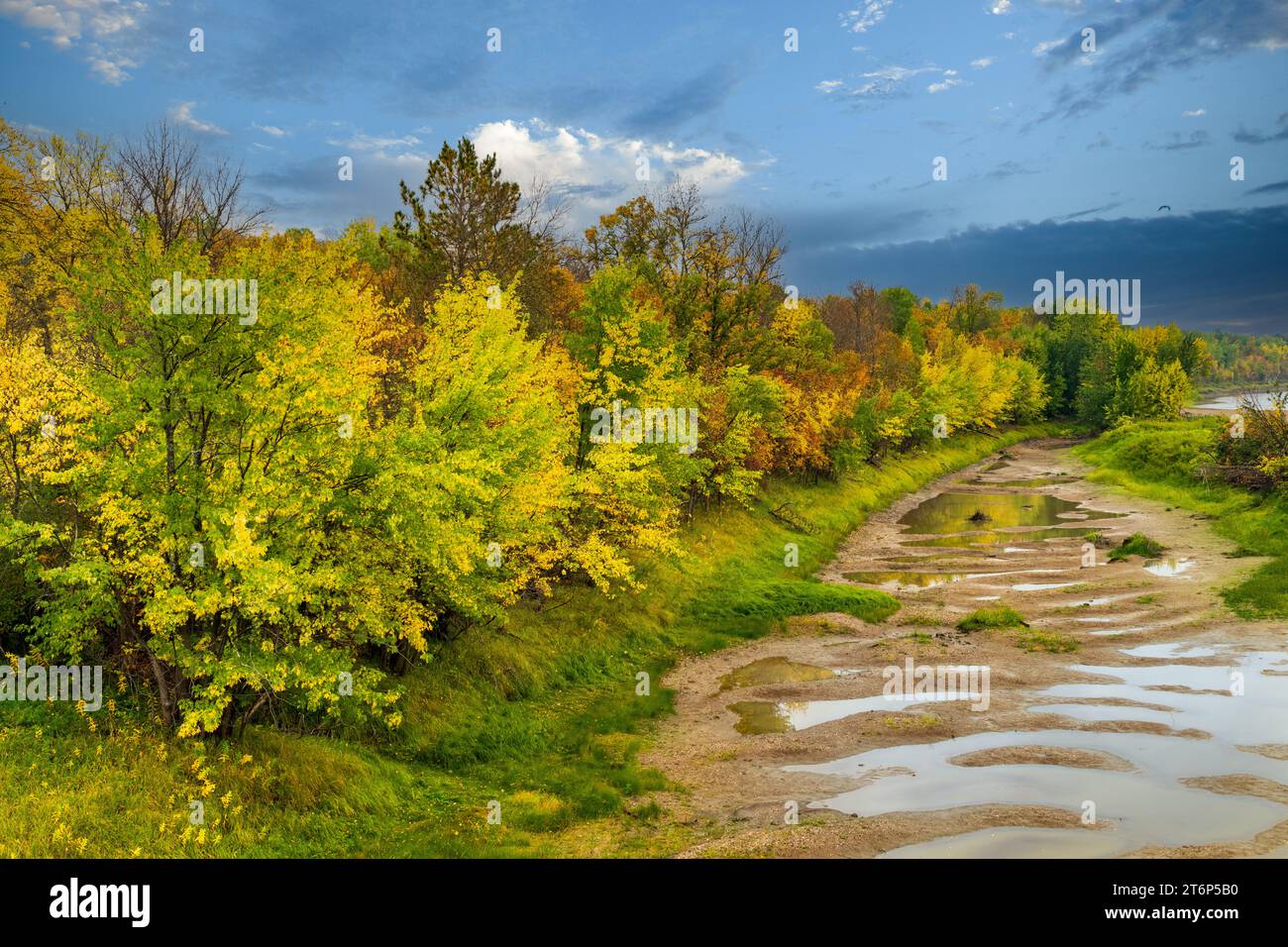 Fall foliage color in northern Minnesota near International Falls, USA ...