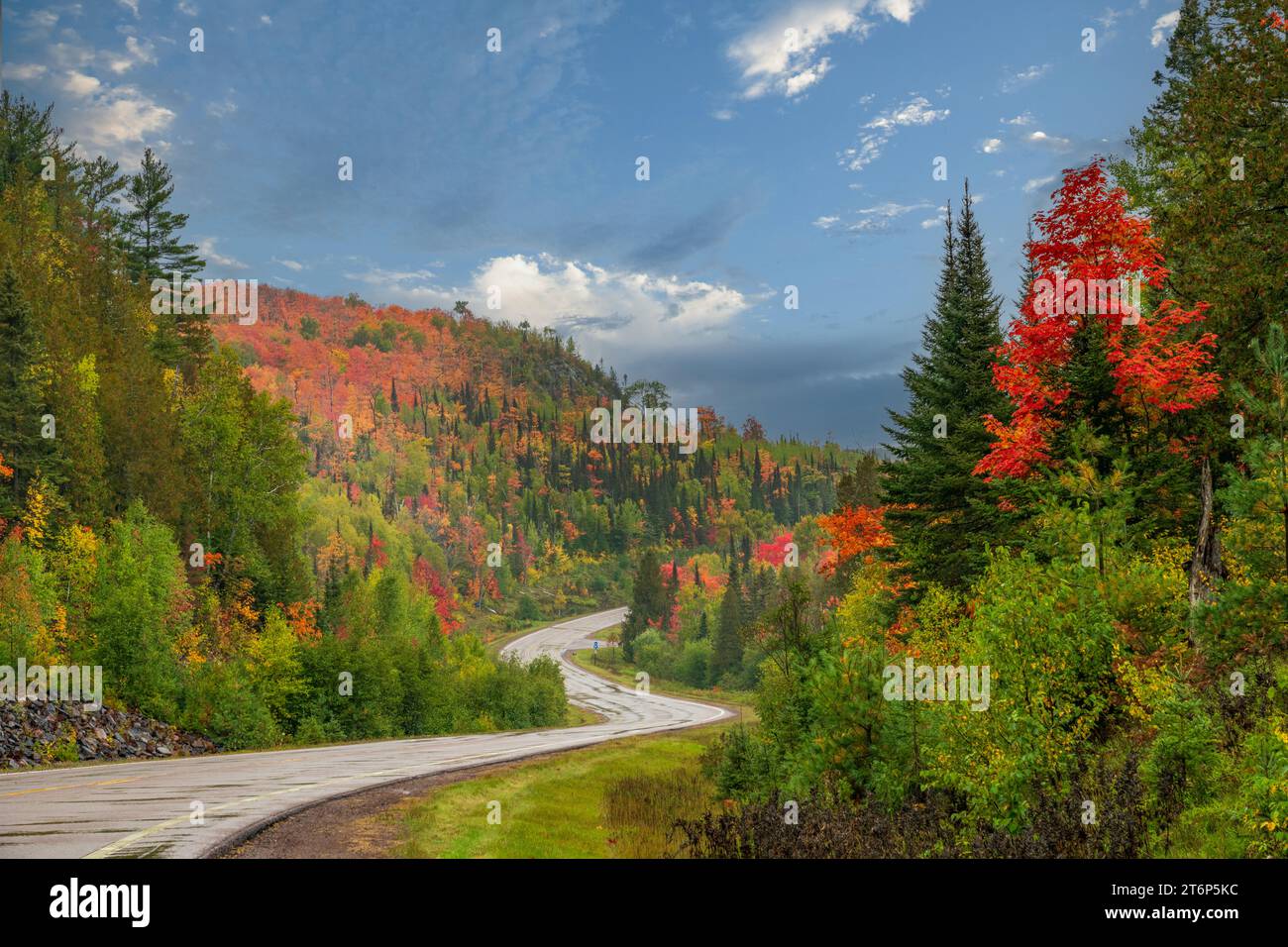 Fall foliage color in the forests above the north shore of Lake ...