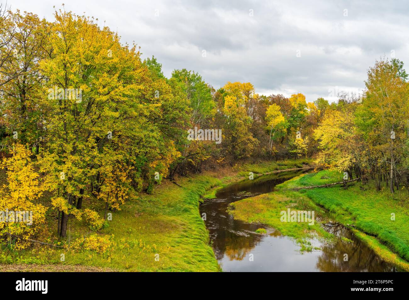 Fall foliage color in northern Minnesota near International Falls, USA ...