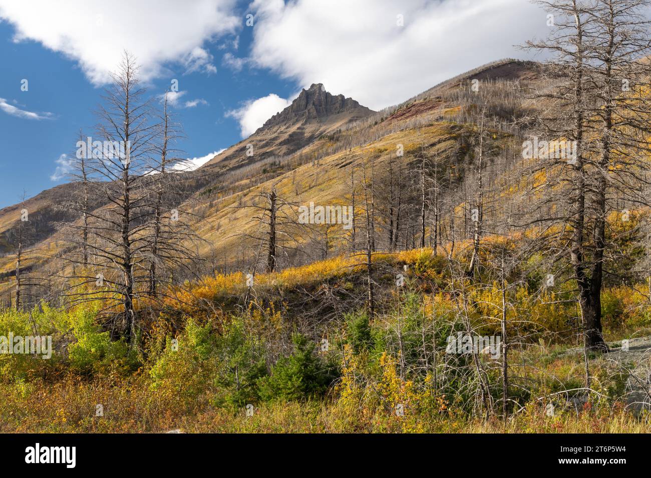 Fall foliage color in Waterton Lakes National Park, Alberta, Canada ...